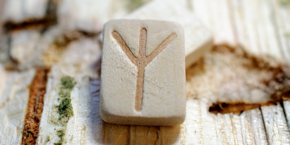 Rune Algiz (Elhaz): Bedeutung der Schutz-Rune - neowake.de